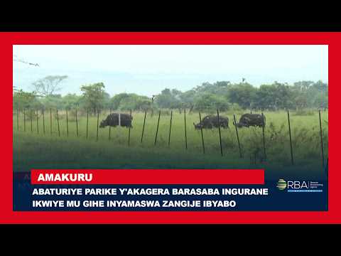 Abaturiye Parike y'Akagera barasaba ingurane ikwiye mu gihe inyamaswa zangije ibyabo