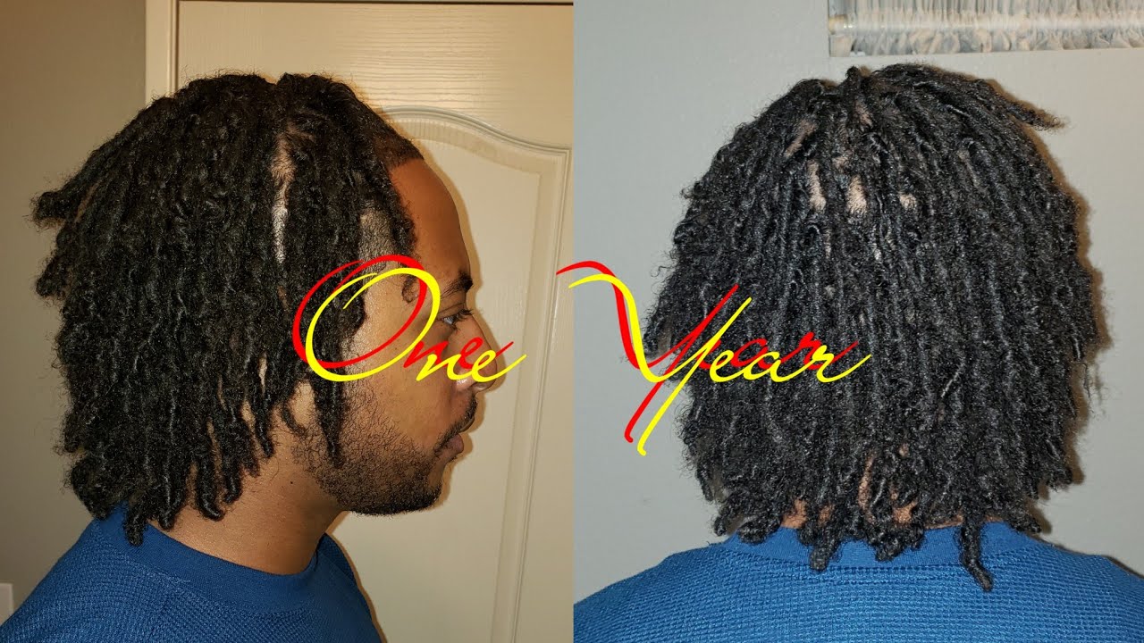 One Year 12 Month Loc / Dread Journey Update / Budding / Retwist ...