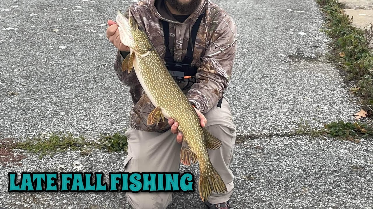 Late Fall Pike Fishing - Stumbled on a hot bite - YouTube