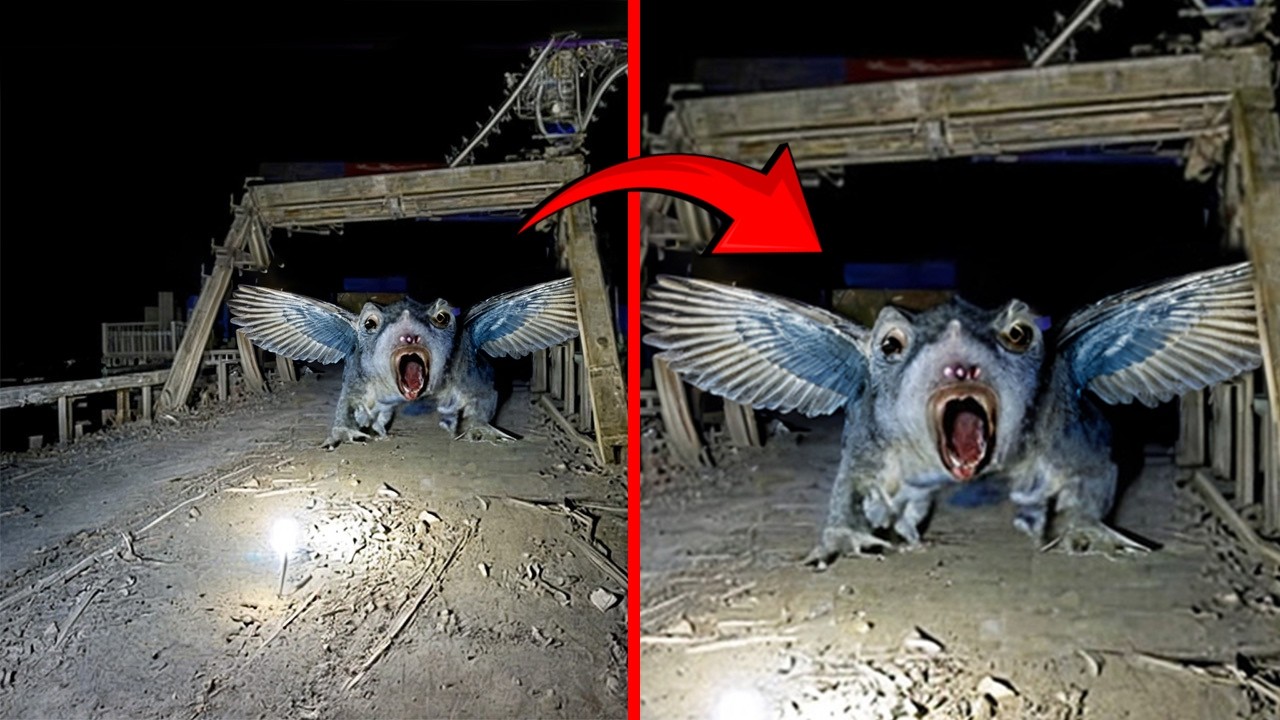 Mysterious Creatures Caught On Camera - YouTube