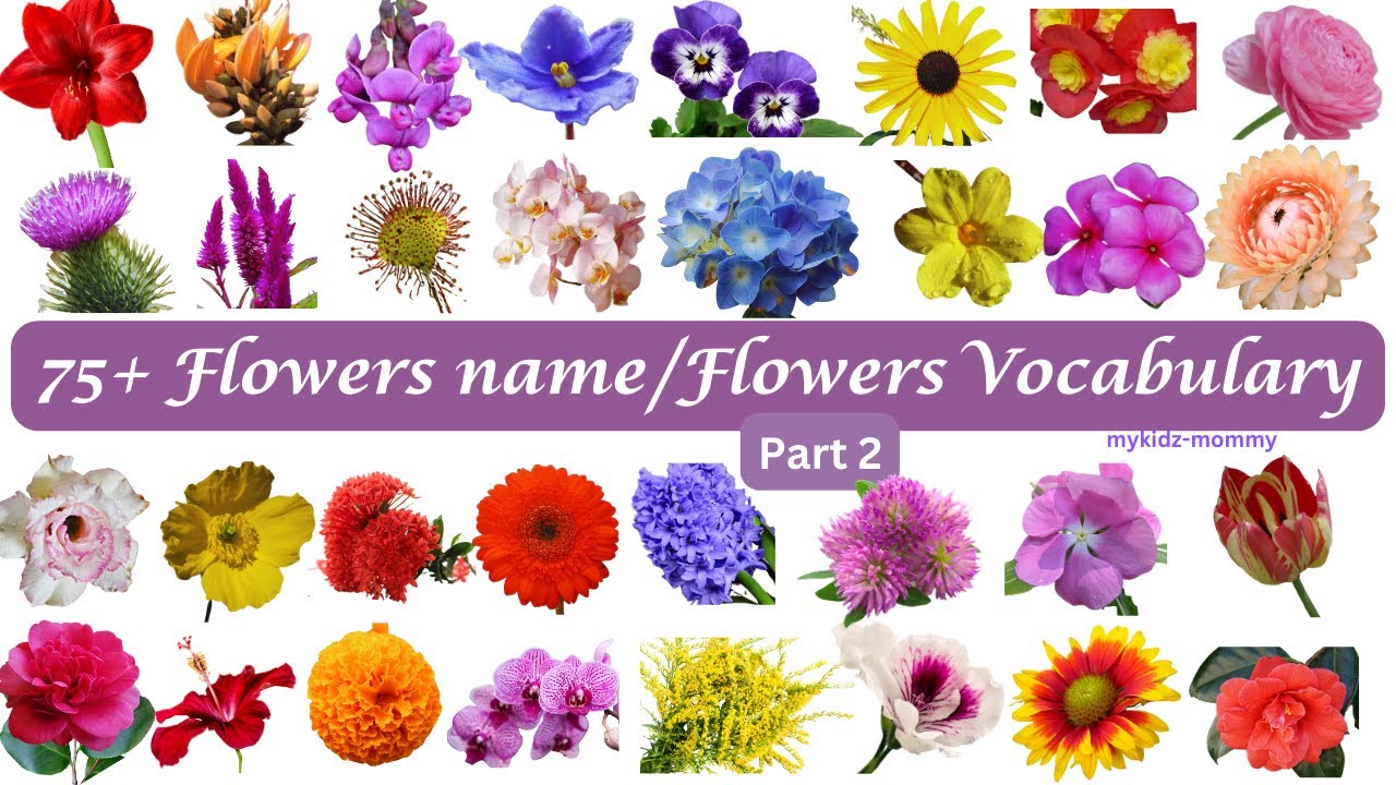 Flowers vocabulary|75+ Flowers names with Pictures in English|Name of ...