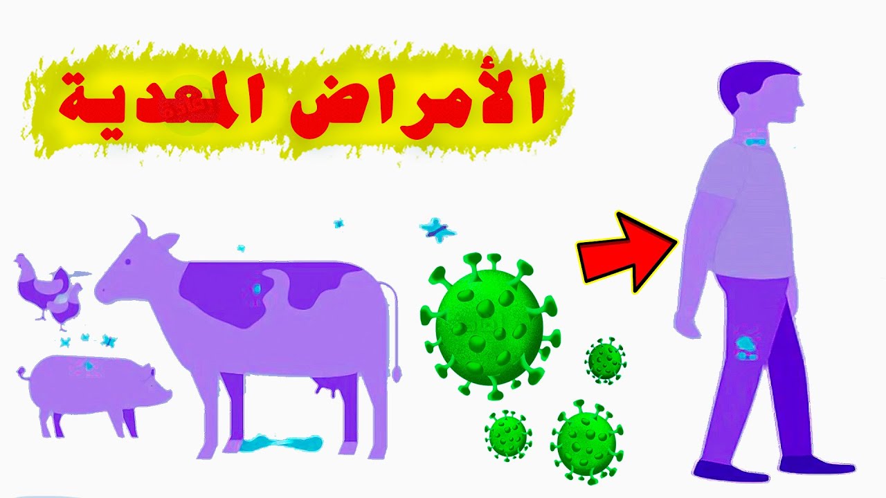 ما الذي يسبب الأمراض المعدية ؟ Youtube