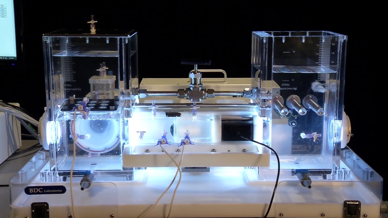 BDC Labs - HDT 500 - YouTube