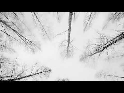 REVERSE SPLIT- S training - YouTube