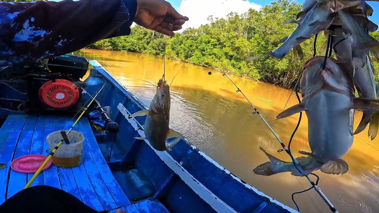 Rejeki Mancing Baung Pas Air Lagi Banjir Besar - YouTube