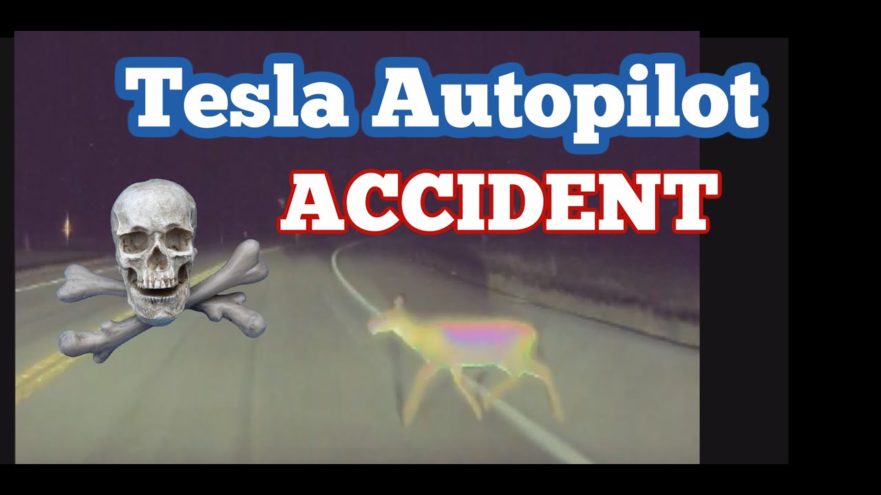 Tesla Autopilot Hits a Deer (and I think it will happen again.) - YouTube