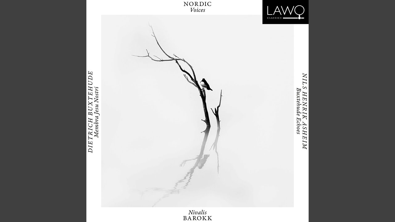 Buxtehude Echoes: second echo, failing - YouTube