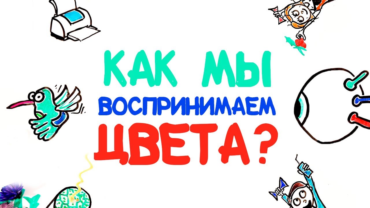 Как мы воспринимаем цвета? [AsapSCIENCE] - YouTube