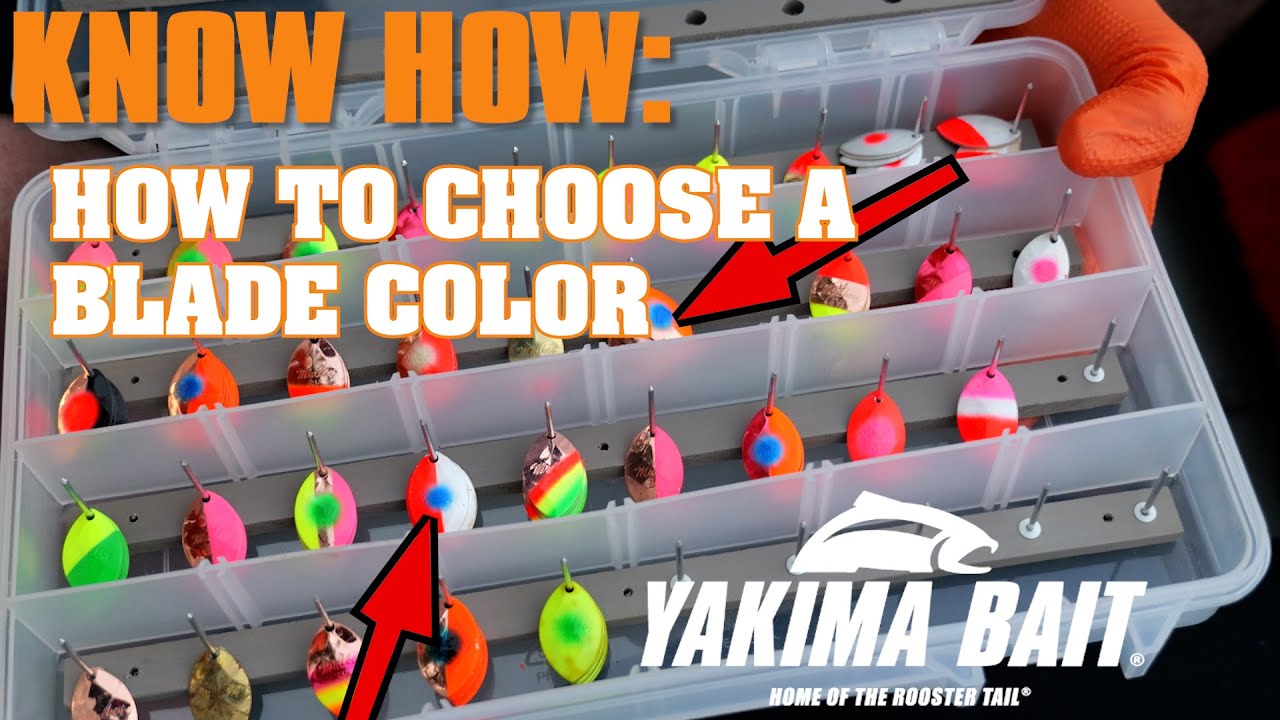 How to Choose a Blade Color - YouTube