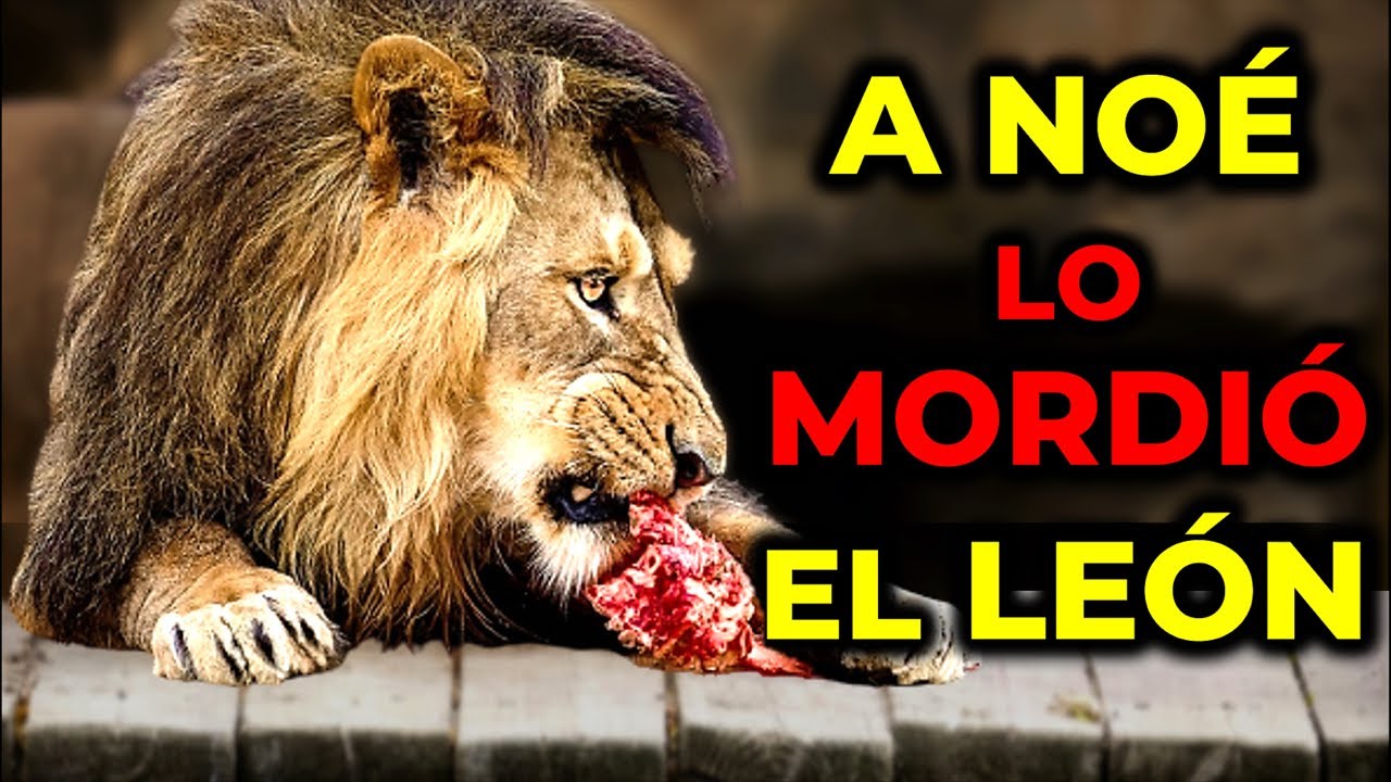 Secretos del Arca: La razón detrás del ataque del león a Noé - YouTube