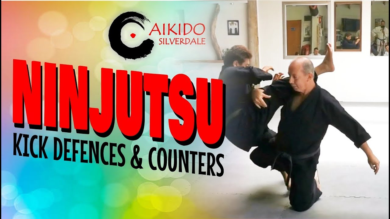 NINJUTSU | BASIC KICK DEFENCES & COUNTER TECHNIQUES - YouTube