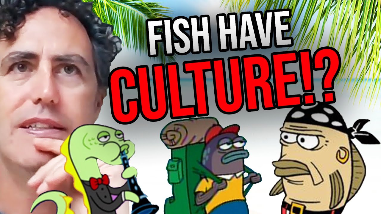 Fish Memory, Social Learning, Culture & Pain Perception | Professor ...