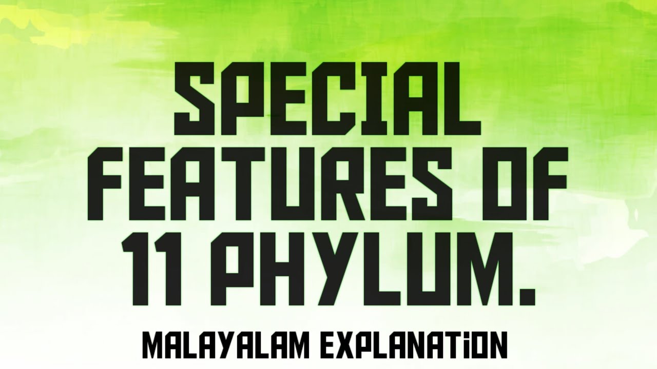 11 phylums +1 zoology - YouTube