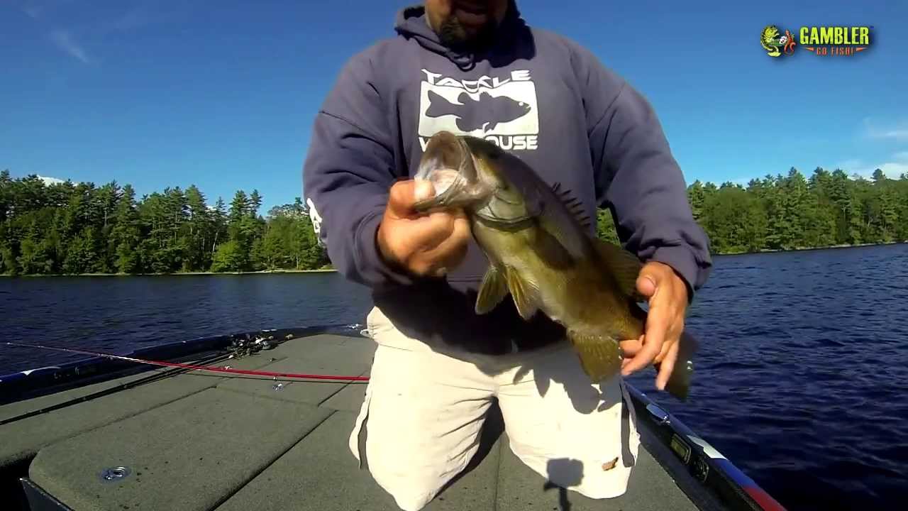Joe Holland Drop Shot Fishing Tips for Smallmouth Bass - YouTube