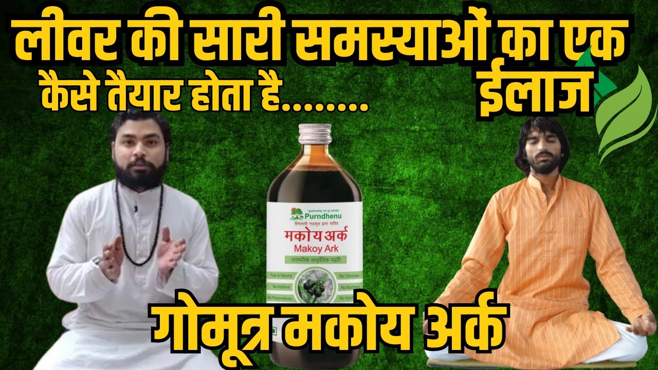 Makoy Ark kaise banta h | best Ayurvedic medicine for liver | Acharya ...