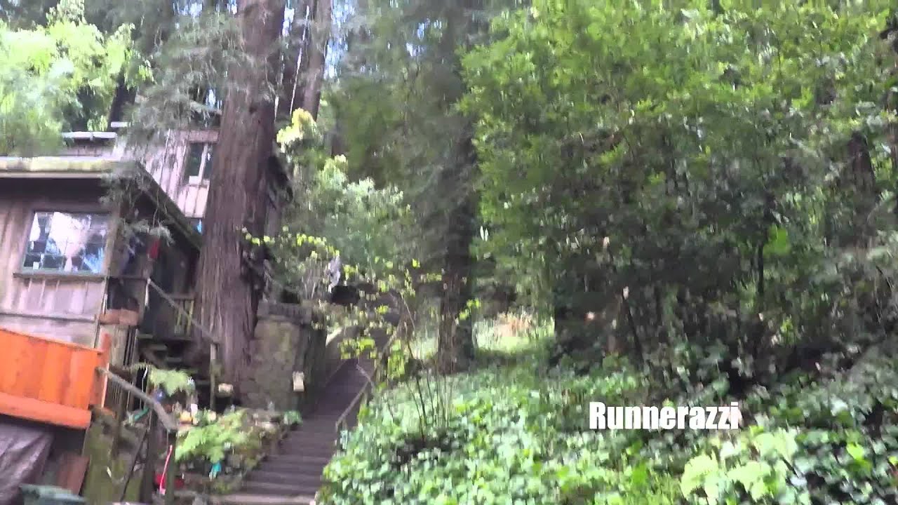 Running Up Dipsea Trail Stairs from Mill Valley, California - YouTube