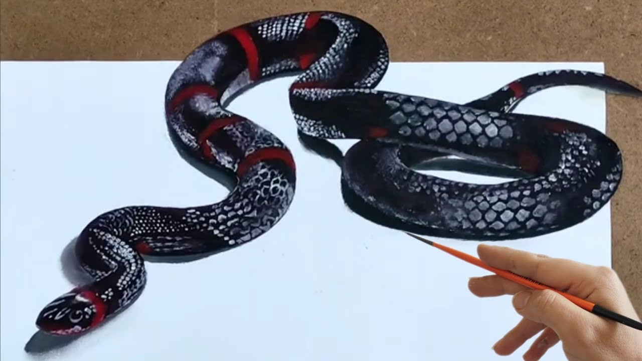 How to Draw 3d snake on cardboard | oil painting - YouTube
