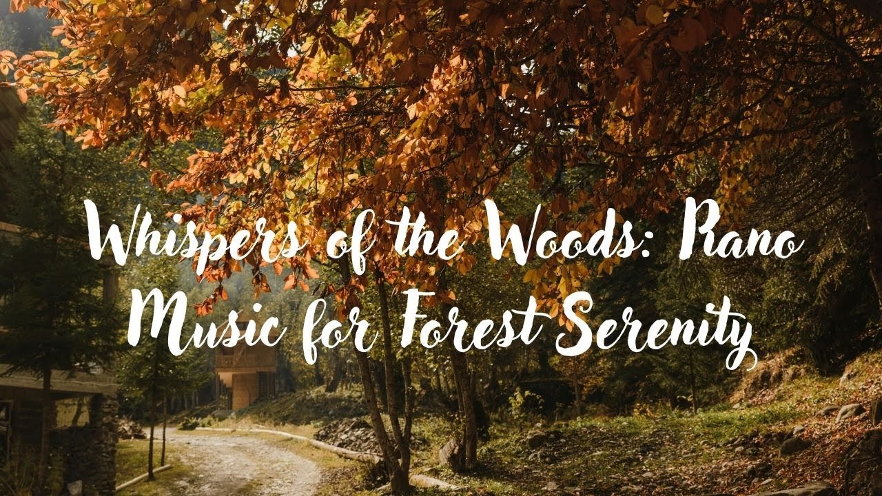 Whispers of Woods| Relaxing Piano Music | Study Reading | Sleep Music | Lo-fi Music| Stress ...
