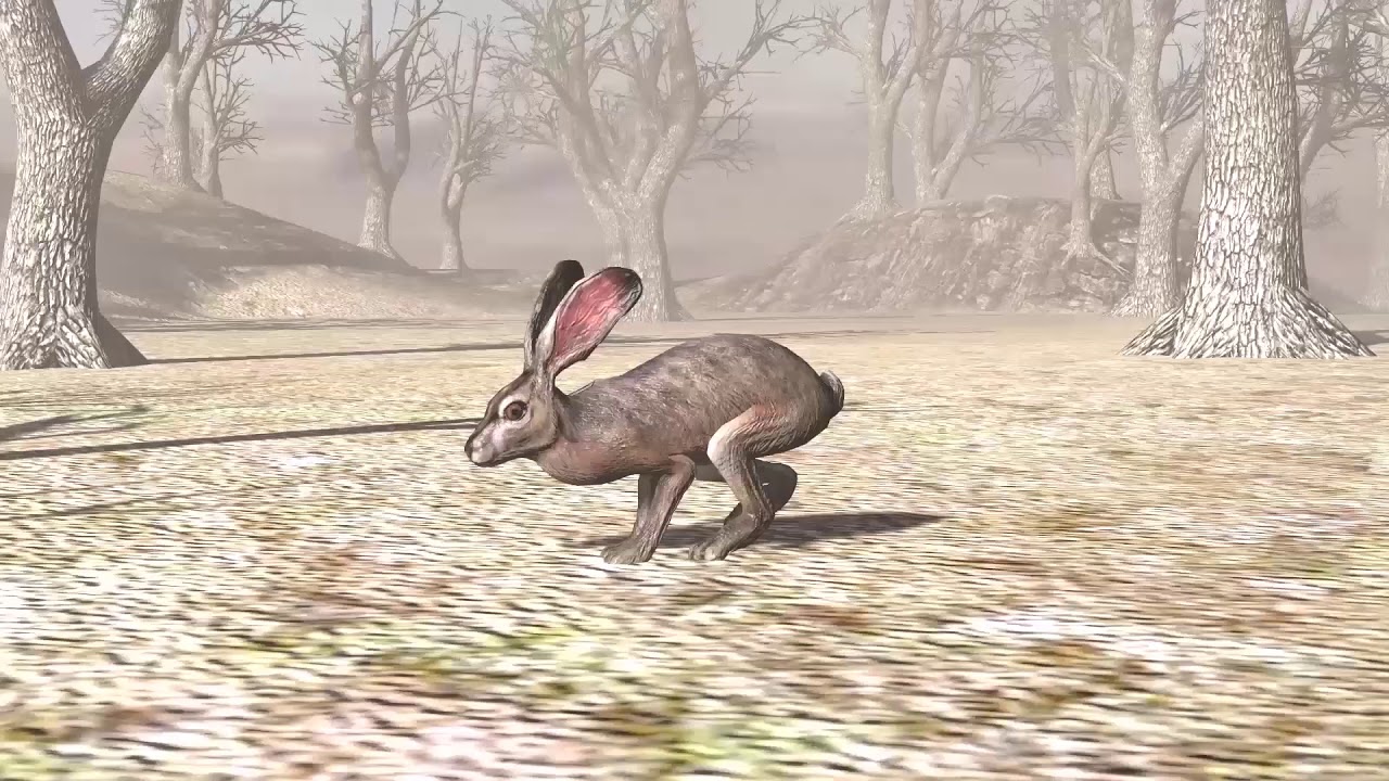 BAKAME N'IKIYONI - YouTube