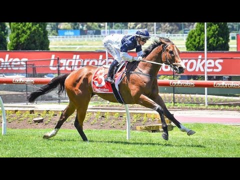 Sandown Hillside Racing Preview (07.01.23) | Sky High Horse Racing ...