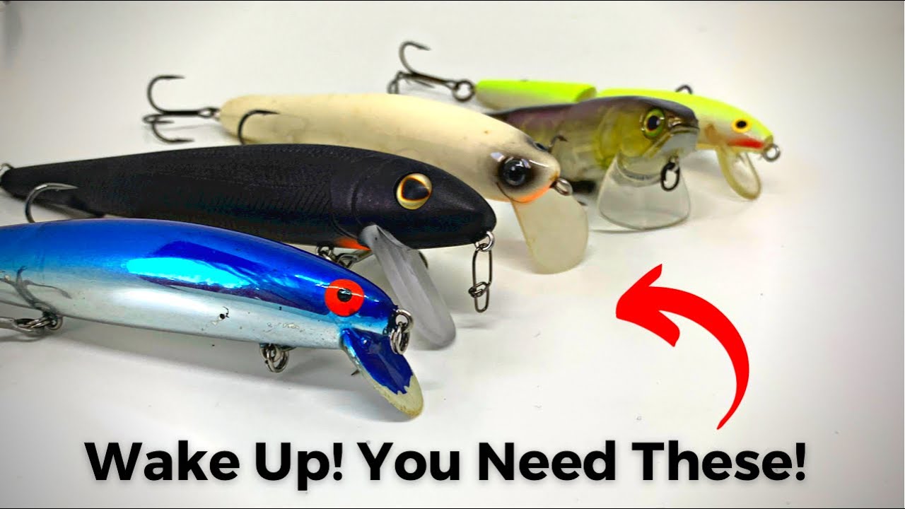Don’t Miss Out On Wake Baits! The Bite Can Be Amazing! - YouTube