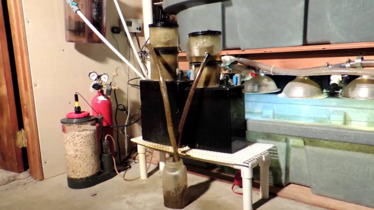 210 Gallon Reef Tank Basement Sump Room Equipment Update 10 23 14 - YouTube