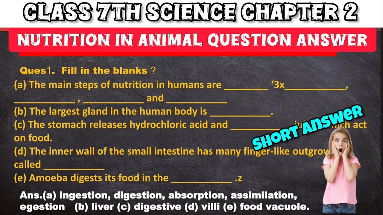 nutrition in animals class 7 question answer | class 7 science chapter ...