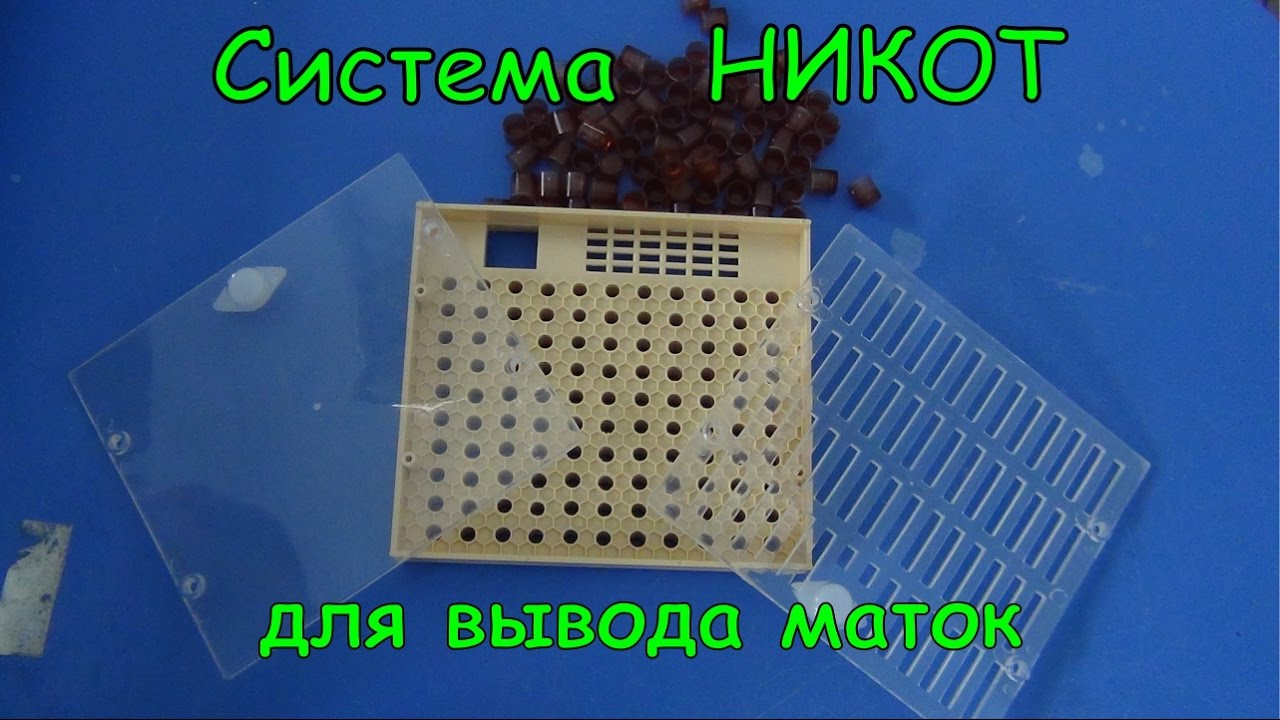 Система для вывода маток НИКОТ МАТКОВОДСТВО ДЛЯ НАЧИНАЮЩИХ ПЧЕЛОВОДОВ ...
