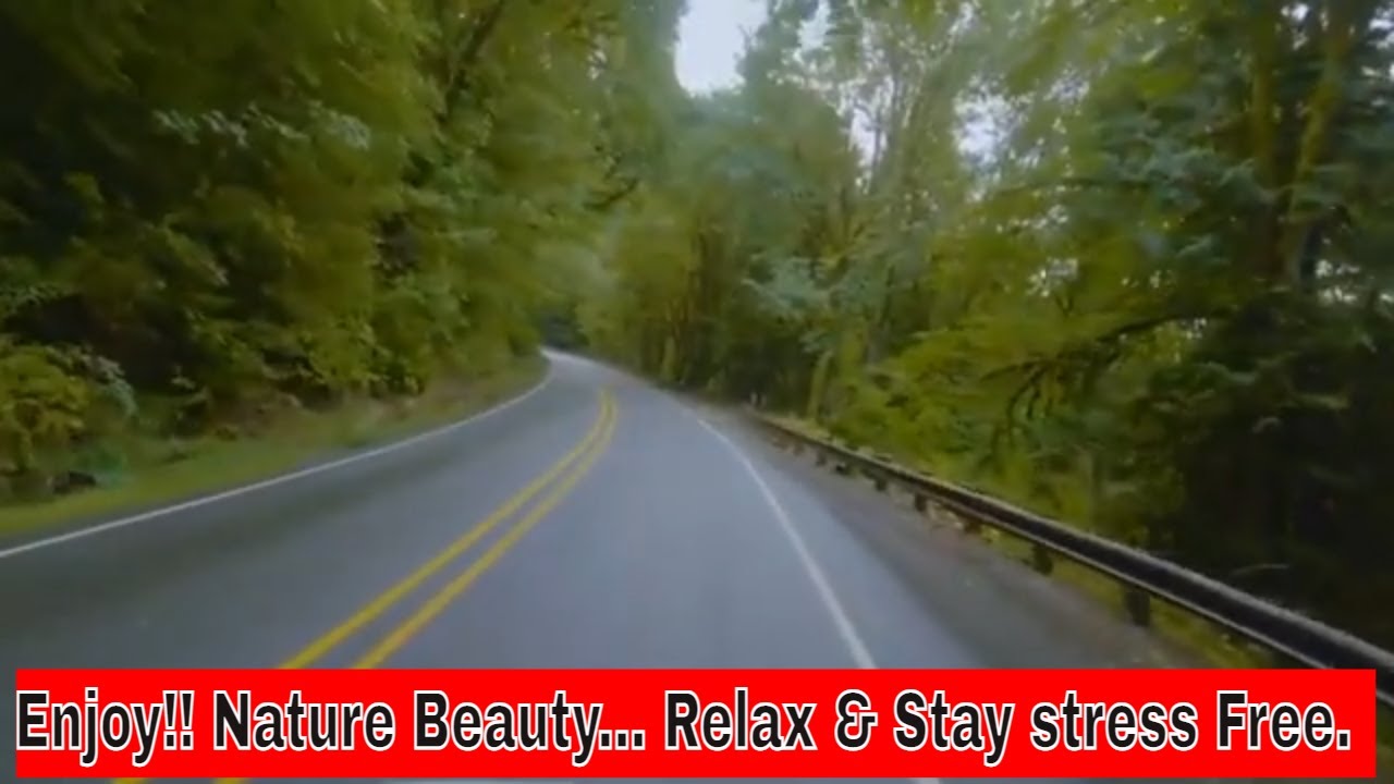 This AMAZING video will help you RELAX & STAY STRESS FREE! - YouTube