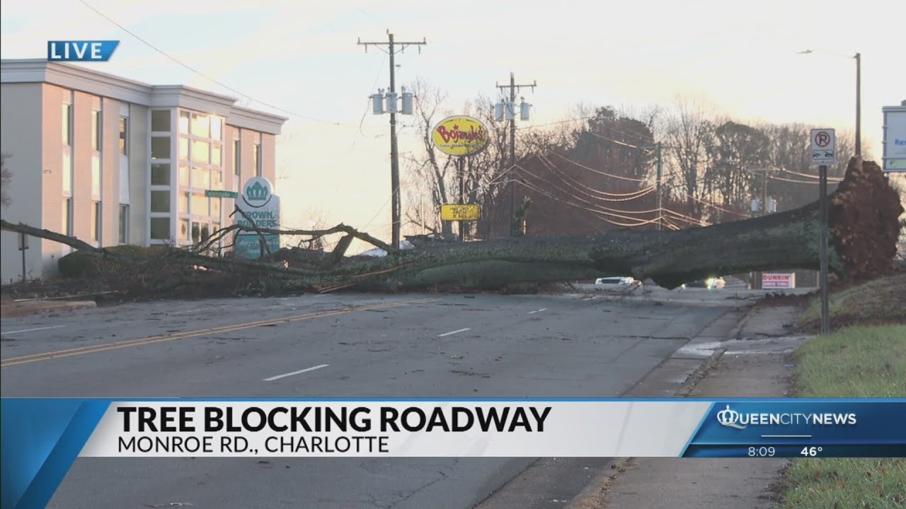 Massive tree blocking Monroe Road in SE Charlotte - YouTube