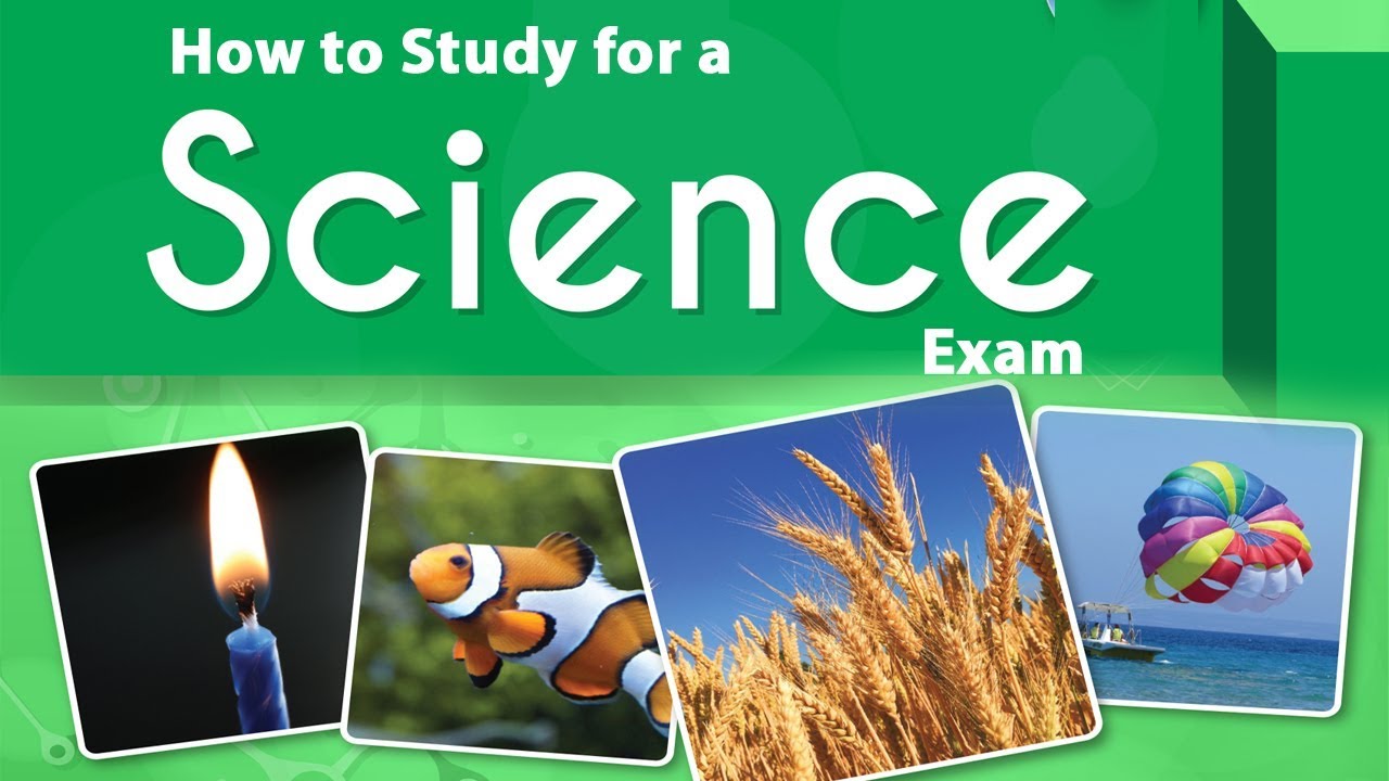 How to Study for a Science Exam? - YouTube