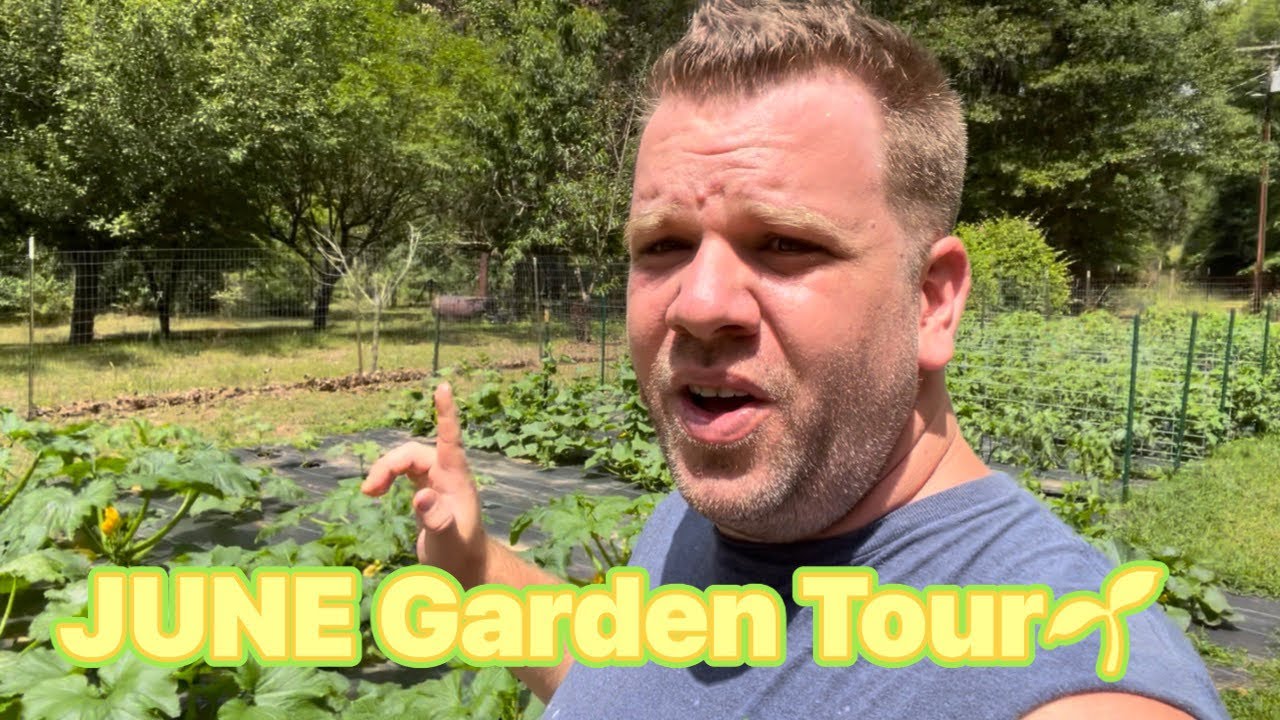 JUNE Garden Tour - YouTube