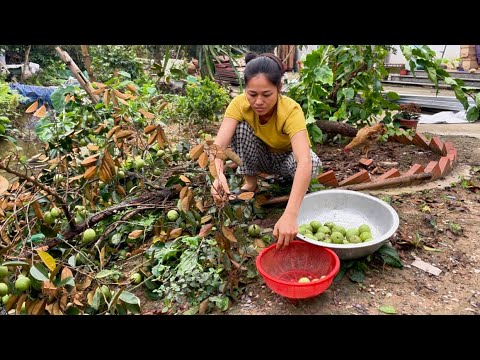 From Ruins to Warmth… A Simple Family Meal After the Storm | Ly Tieu Yen