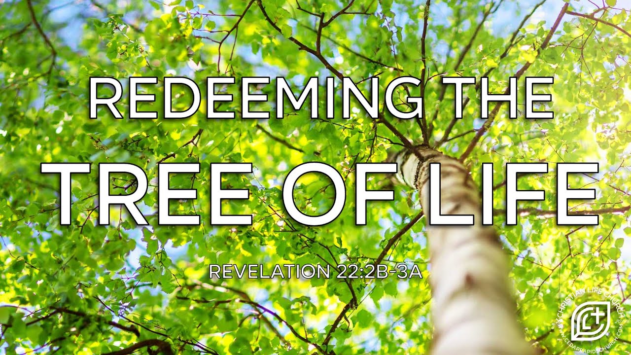 Redeeming the Tree of Life – Revelation 22:2b-3a - YouTube
