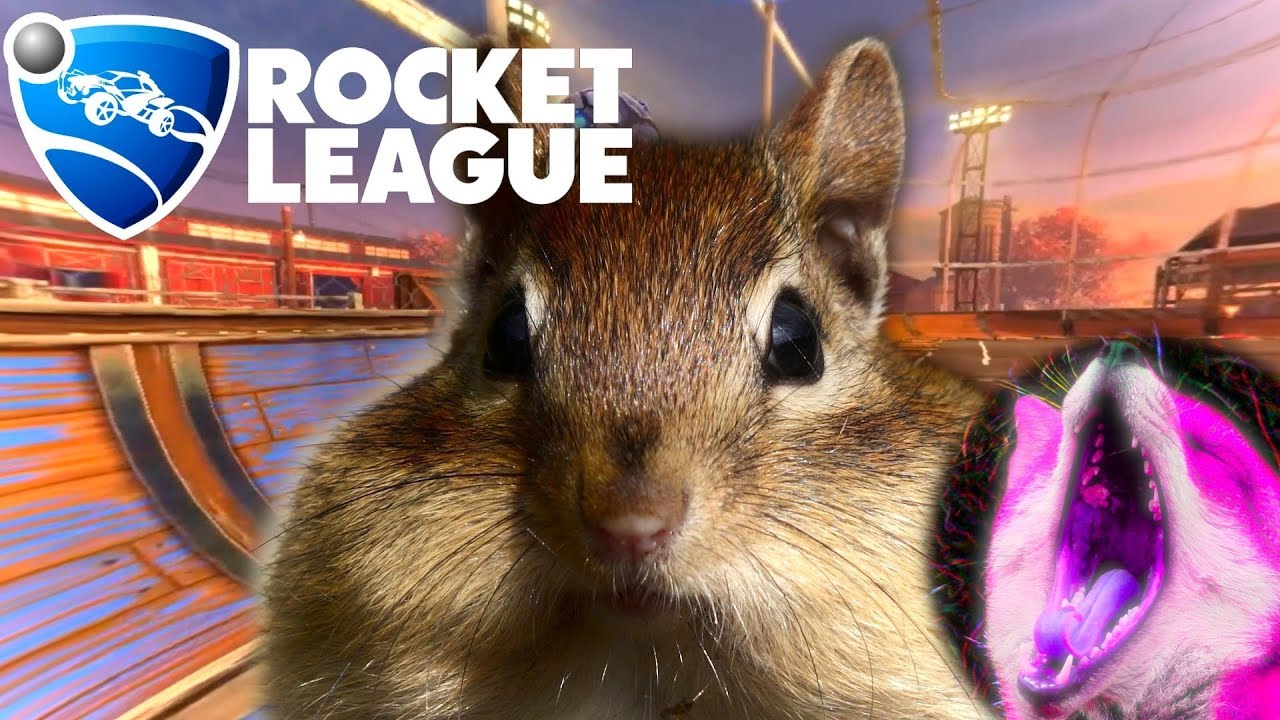 stuff your cheeks - YouTube