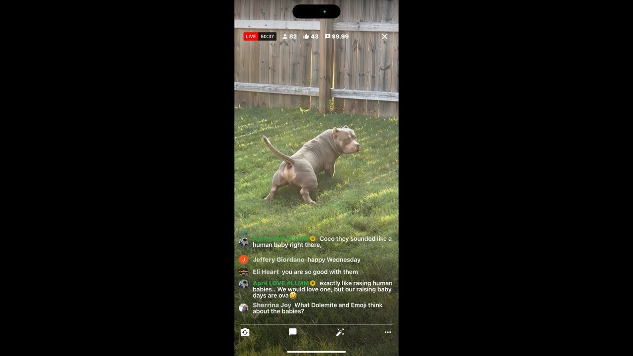 Coco Beware is going live!yard work - YouTube