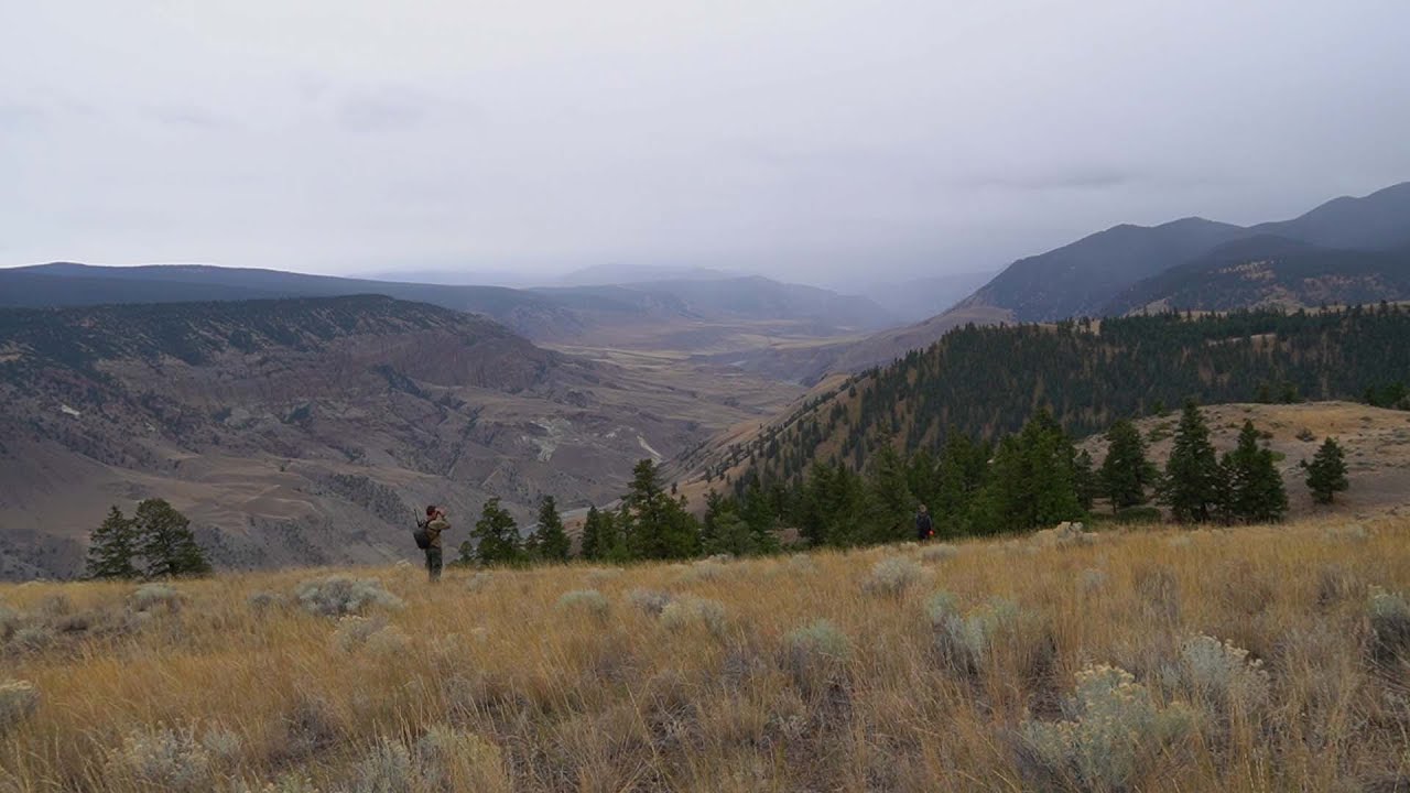 Fall Camping | Hiking the Fraser River Valley - YouTube