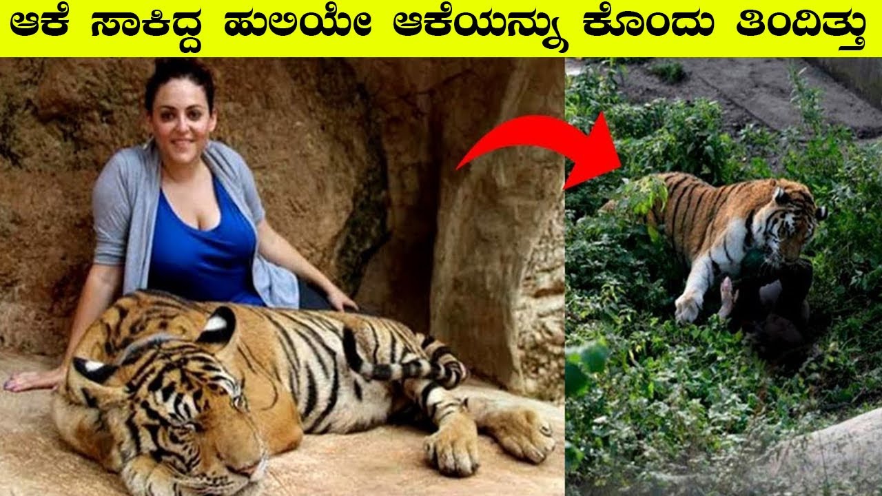 ಮಾಲೀಕರನ್ನೇ ಬಲಿ ತೆಗೆದುಕೊಂಡ ಅಪಾಯಕಾರಿ ಸಾಕು ಪ್ರಾಣಿಗಳು/Animal BEHAVIOUR ...