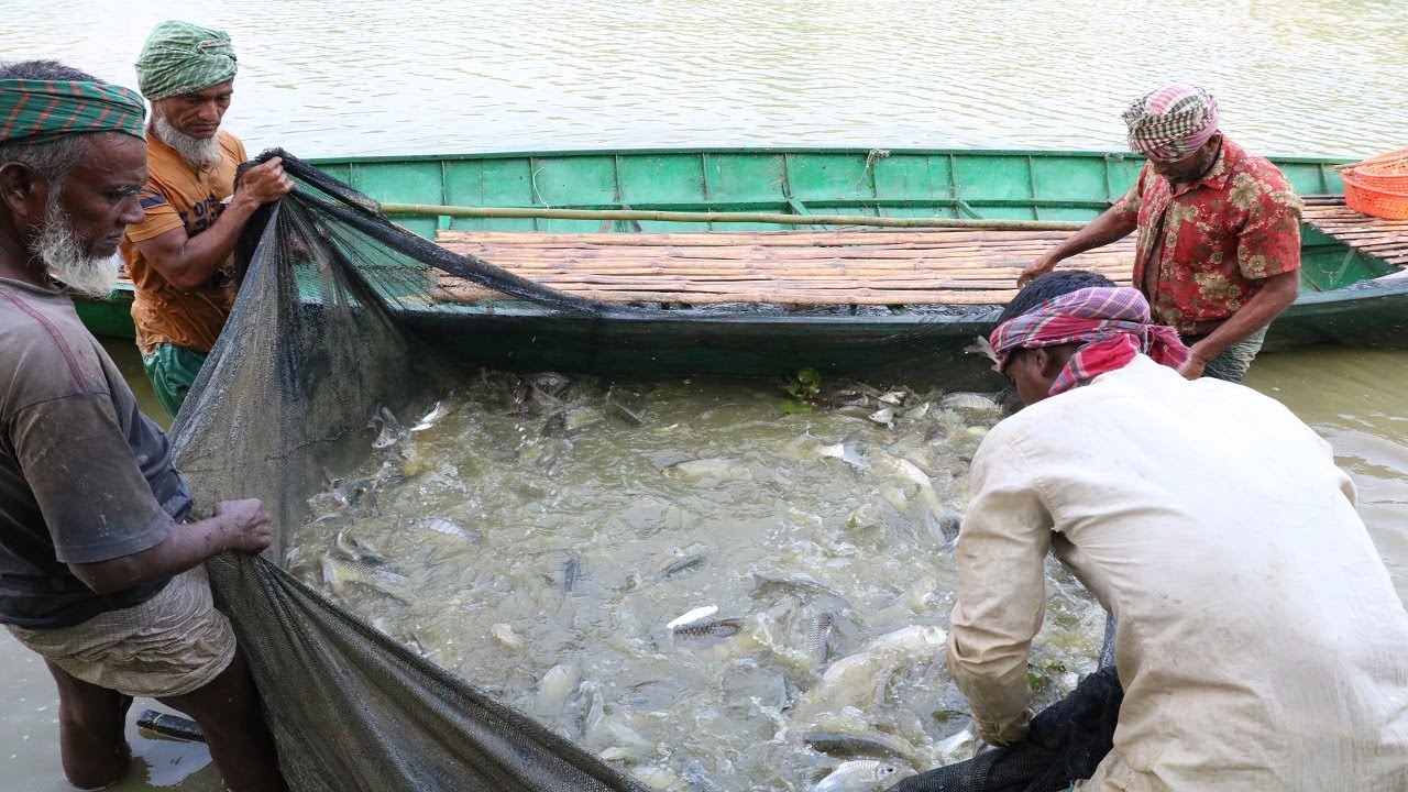 Fishing Boat Trawler Fishermen Catch a Big Fish || Amazing Fishing ...