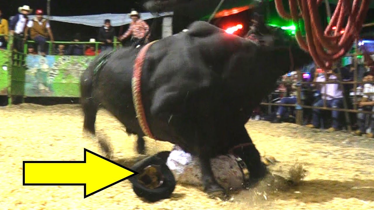 LE CAYO EL TORO ENCIMA |||| SE SALVO DE MILAGRO HERENCIA DEL VIEJO VS ...