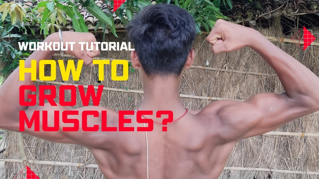 How To Grow Your Muscles 💪💪💪 - YouTube