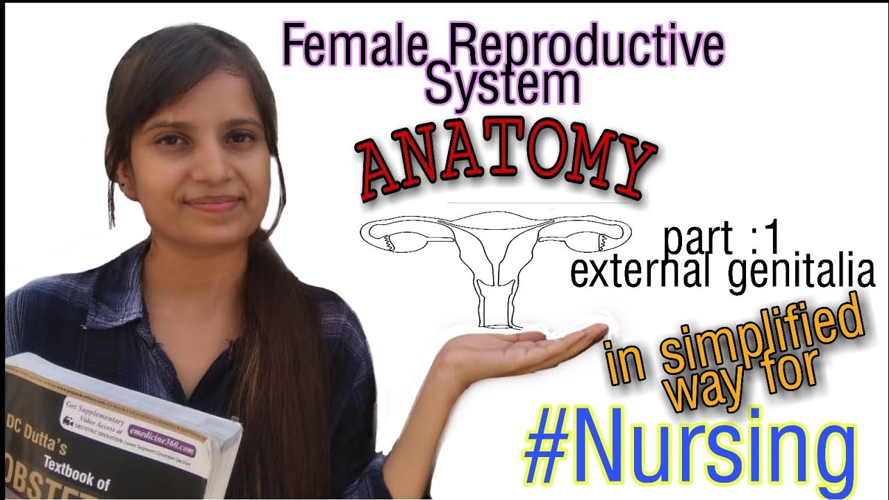 Anatomy of female reproductive system | for nursing | female external ...