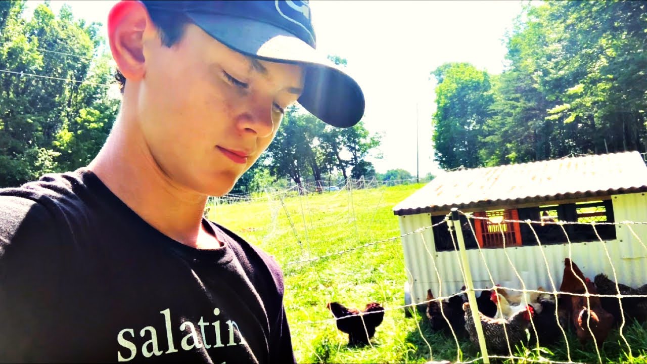 THEY HAVE TO GO? - YouTube