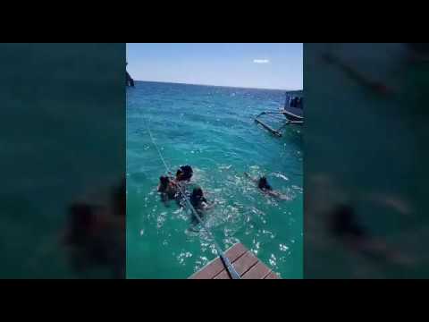 Fish Sanctuary_Looc, Romblon/SummerFamilyOuting2019 - YouTube