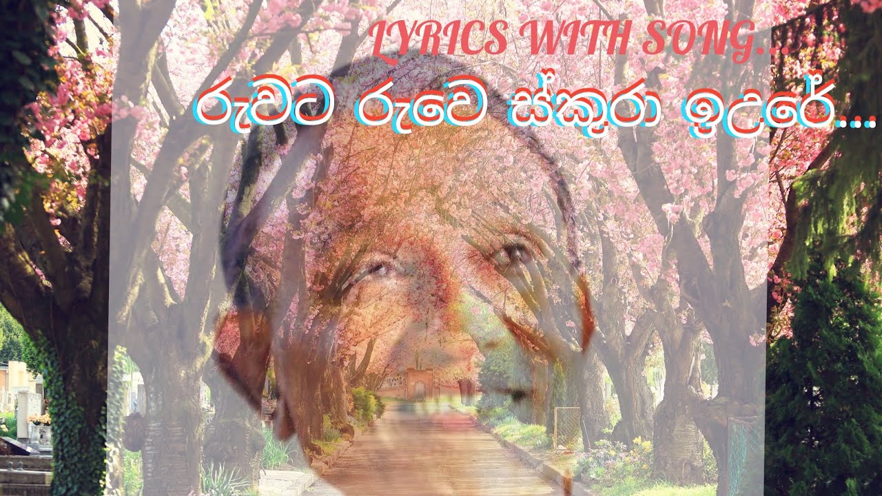 ruwata ruwe sakura iure lyrics with song/ රුවට රුවෙ සකුරා ඉඋරේ.. T.M ...