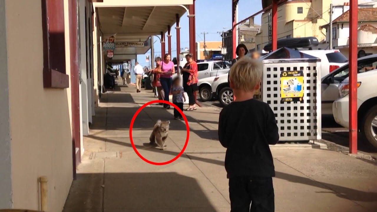 Beasts Behaving Badly - Episode 5 - YouTube