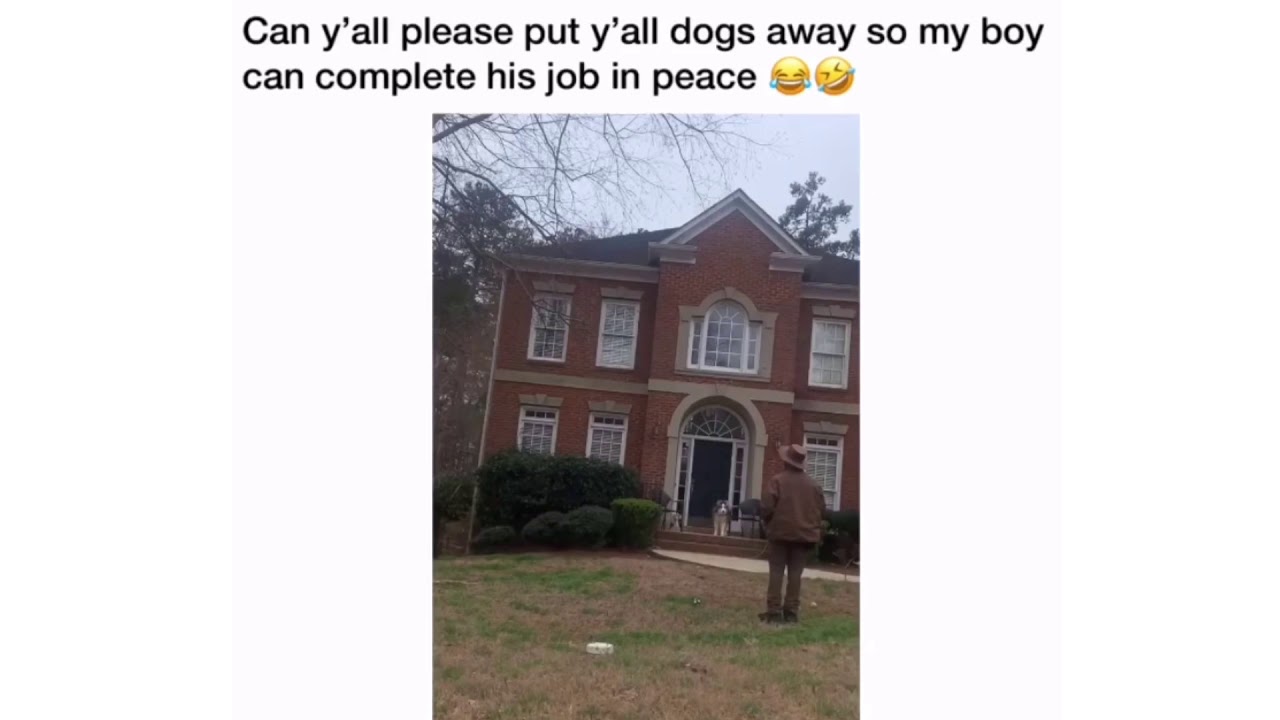 DOG CHASING UPS GUY LMAO MEMES 2020 - YouTube
