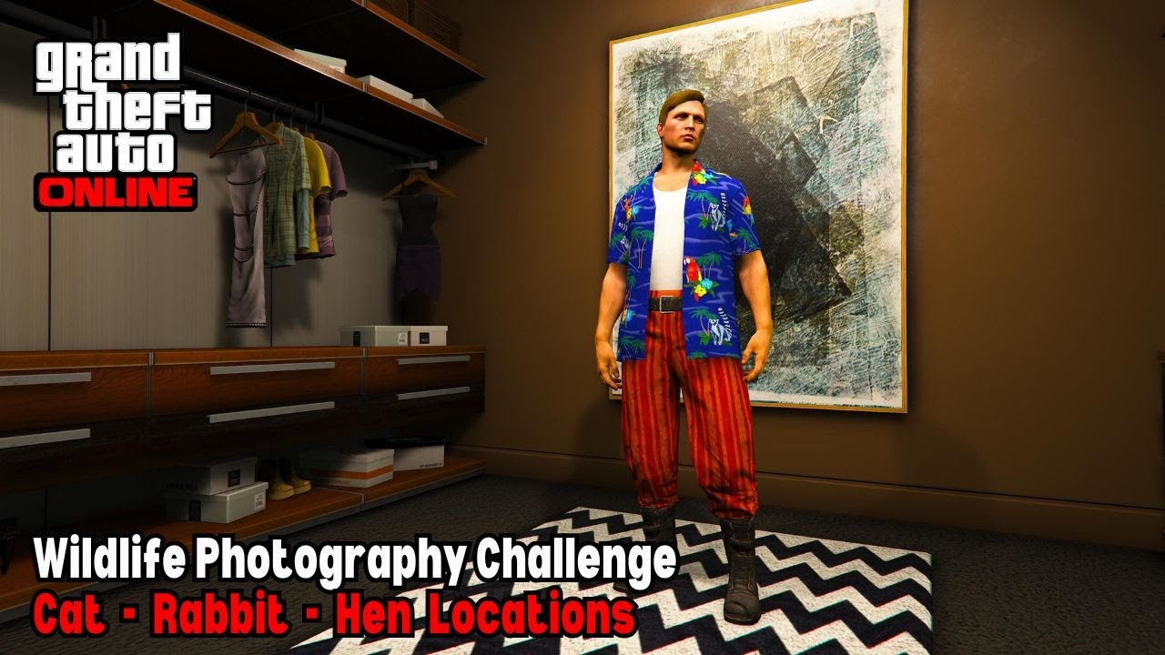 GTA Online - New Wildlife Photography Challenge - Cat / Rabbit / Hen ...