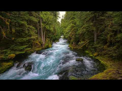 #jiddukrishnamurtitürkçe Yaşam Nehri, Yazar Jiddu Krishnamurti