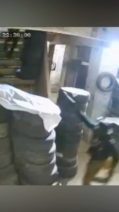 CQB with the NOVRITCH SSP-5 #airsoft #cqb #ssp5 #novritsch - YouTube